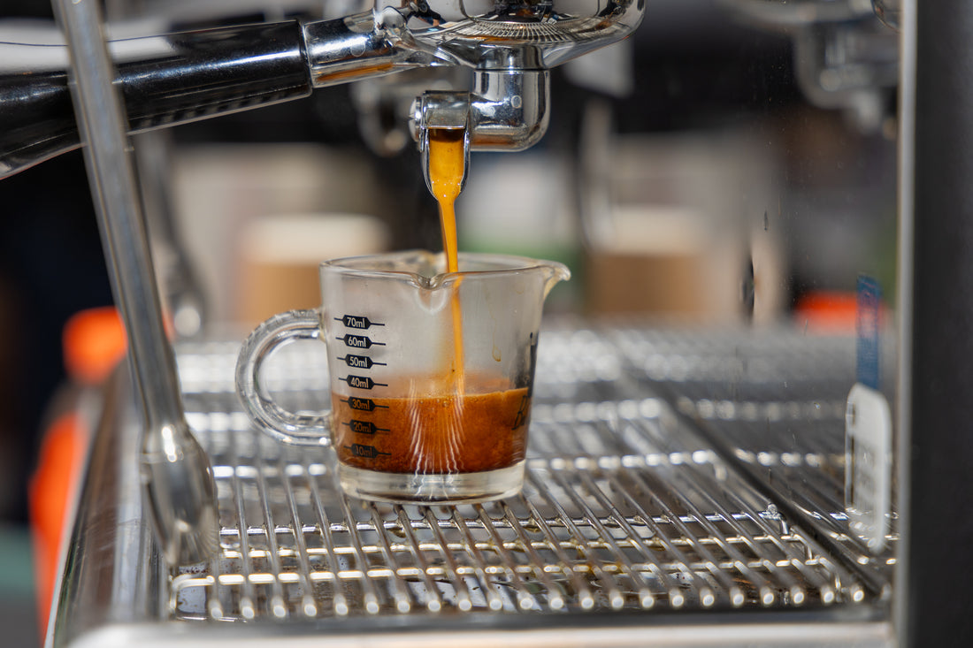 Sound Coffee: Premium, Freshly Roasted Coffee Beans in Bridgeport, CT